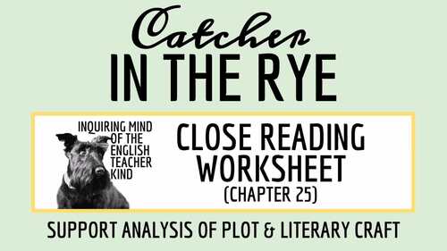 Catcher in the Rye Chapter 25 Literature Analysis Worksheet ...