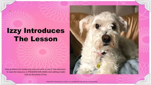 BULLY BEANS UP-Stander Bullying Prevention No Prep SEL Lesson w 3 ...