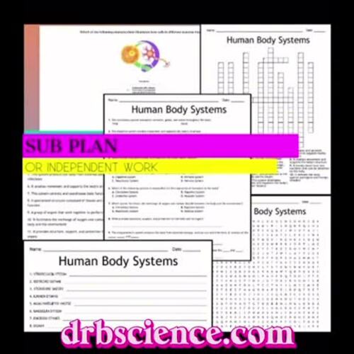 Human Body Systems: Review, Assessment, and PBL by DrBScience | TPT