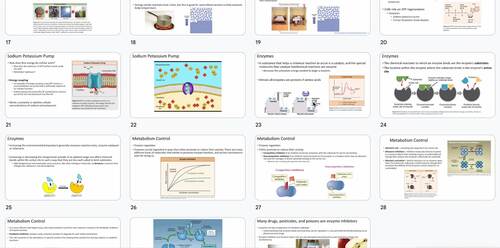 Metabolism - Chapter 6 poweproint - OER Openstax Biology 2e Concepts