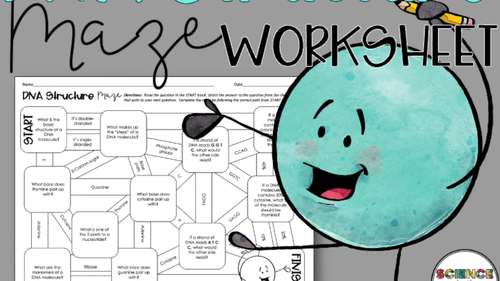 DNA Structure Maze Worksheet Activity Differentiated Print and Digital ...