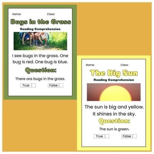 Kindergarten Summer Reading Passages for Enhanced Comprehension,