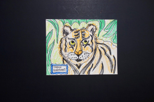 Let's Draw a Tiger in a Tropical Rainforest Biome! by Patty Fernandez ...