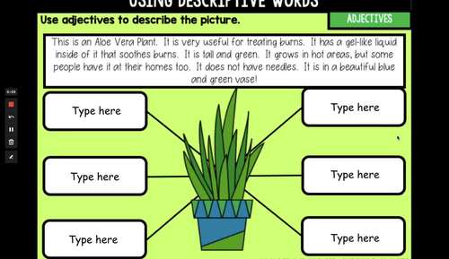 Writing Descriptive Sentences by Ms Avrick's Owlets | TPT