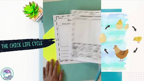 Chick Life Cycle BUNDLE! Egg, Chick, Chicken Science Unit and Science ...