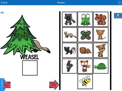 Peekaboo Forest Interactive Book + BOOM CARDS + Sentence Strips | TPT