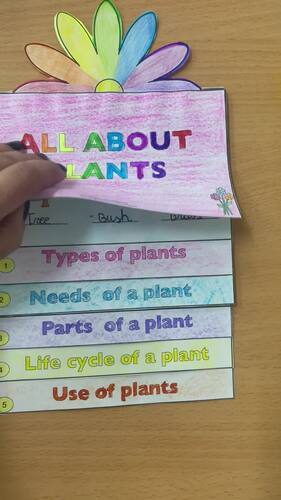 All about plants (foldable book) by TeacherMaria | TPT