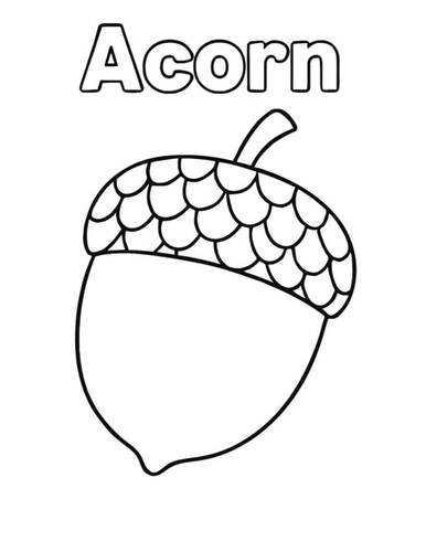 acorn,fall,autumn,forest,harvest,nature,coloring,printable,classroom ...