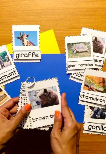 Zoo Friends! Printable Zoo Animal Flashcards by Look We're Learning