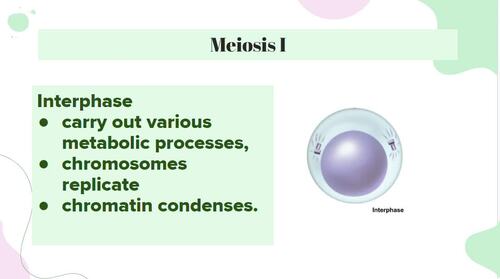 Sexual Reproduction and Genetics HS Biology Google Form UNIT BUNDLE