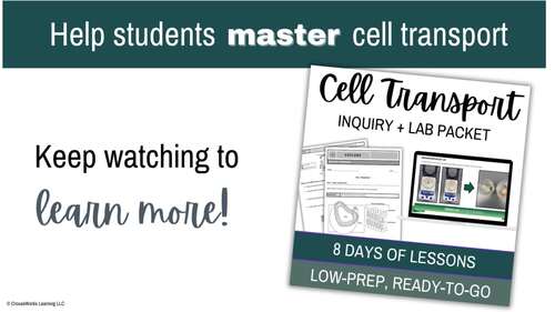 Cell Membrane and Transport Lesson by CrouseWorks Learning | TPT