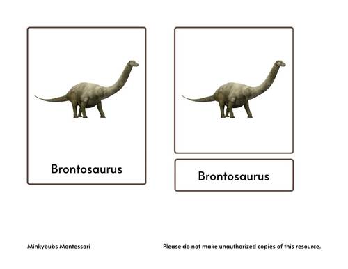 Dinosaurs Montessori 3 Part Cards Set of 12 by Minkybubs Montessori