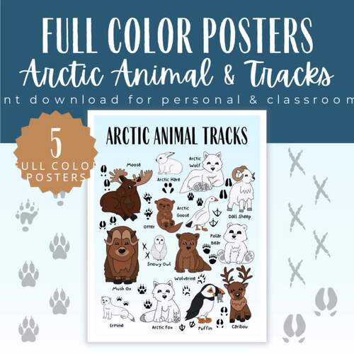 Arctic Animals & Their Tracks Classroom Poster Set | Winter Wildlife ...