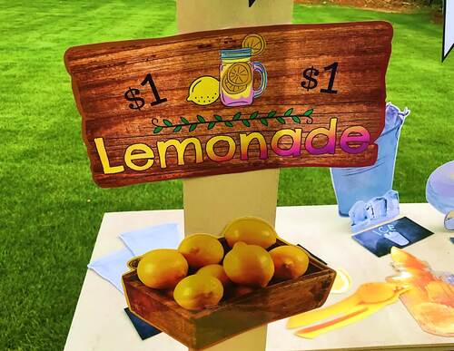Lemonade Dramatic Play Pretend Play Summer Activity by Miss Fuzzy Bee
