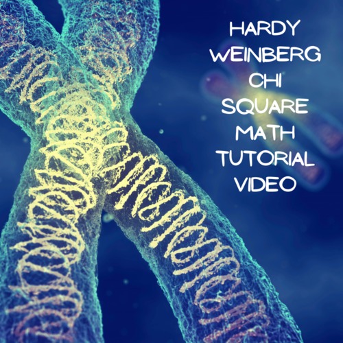 Hardy Weinberg Chi Square Math Problem Video Tutorial - AP Bio | TpT
