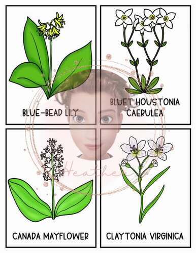 Step-by-Step Informative Writing | 200 Prompts | Spring Flowers | TPT