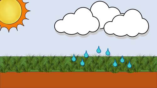 Water Cycle Lesson & Notes (PowerPoint & Google Slides) Middle School