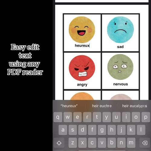 Editable Emotion cards, Emotion Face Flashcards, Feelings Flash Cards