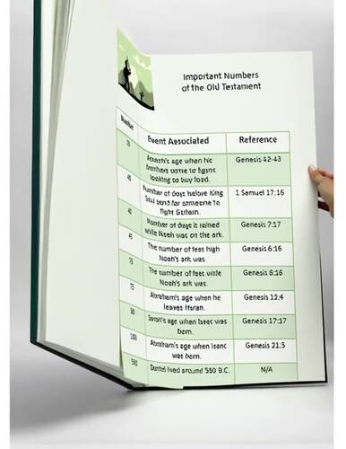 Biblical Numbers Study Bundle | Teaching the Meaning of Key Numbers in ...