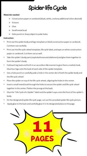 Life Cycle of Spider, Science Unite, Science Activities and Worksheets