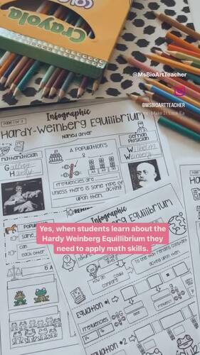 Hardy-Weinberg Equation Visual Video Notes by MsBioArtTeacher | TPT