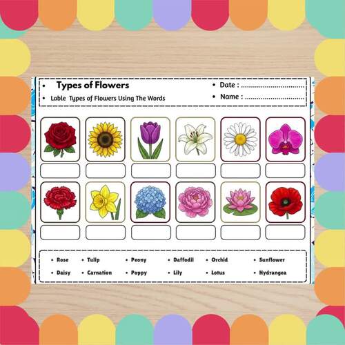 Types of Flowers Worksheets | Science & Nature Activities | Spring Activity