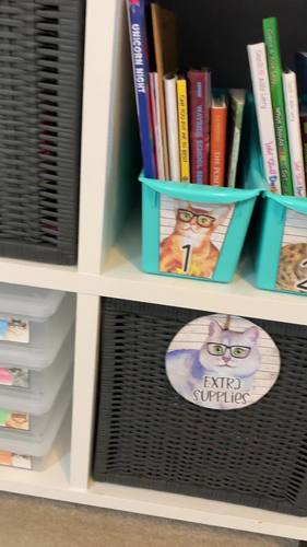 Hipster Cat Class Decor Bundle by Hanging with Mrs Hulsey | TPT