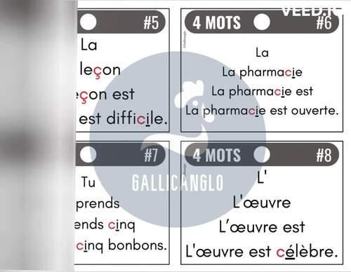 FRENCH Lecture et fluence Reading fluency practice VOL19 Ç/CI/CE with audio