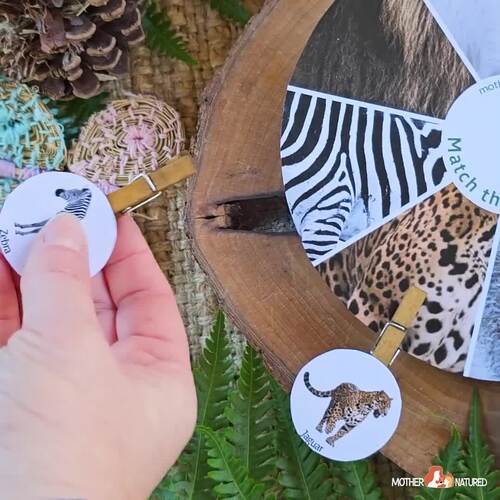 Mammal Matching Activity | Mammal Game | Pattern Activity | Preschool ...