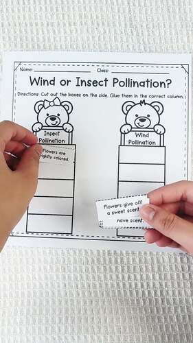Wind or Insect Pollination? – Cut and Paste Sorting Activity | TPT