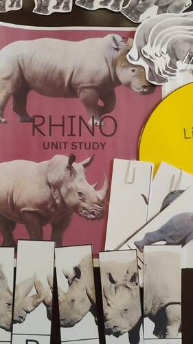 Rhino Unit Study | 54 Page Homeschool Nature Study | Classroom Learning ...