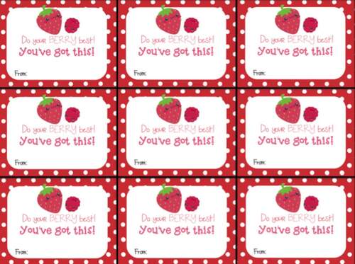 Sweets Testing Motivation Gift Tag MEGA Bundle- Total of 29 products!