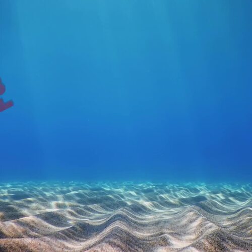 Ocean Seashore Art Craft Activity Science Resource by My Preschool Place