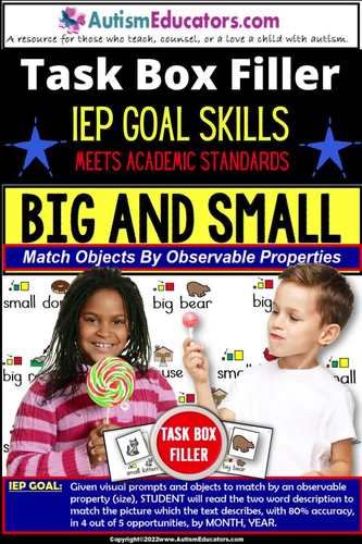 Identifying Size Big and Small Task Box Filler® for Special Education ...