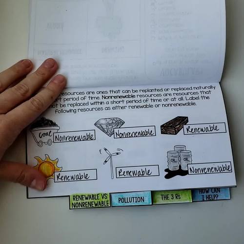 Conservation of Natural Resources Flip Book Activity (Print and Digital)