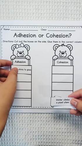 Adhesion or Cohesion? Cut and Paste Sorting Activity – Fun Science