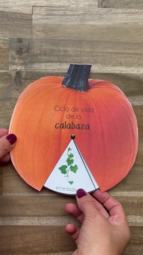 Pumpkin Packet in Spanish - Las calabazas - Emergent Reader- Lector ...