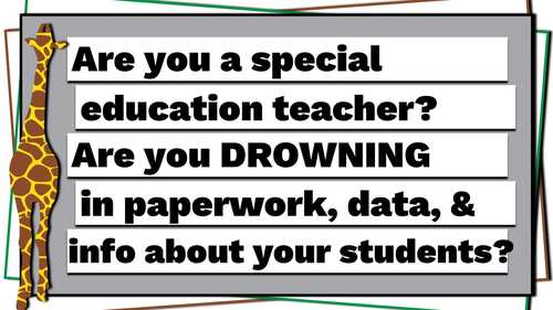 IEP At a Glance Sheets IEP Organization Special Education Organization