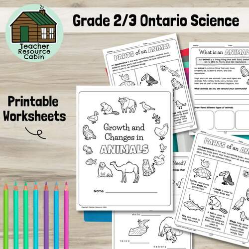 Grade 2/3 Science Workbooks (NEW 2022 Ontario Curriculum) | TPT