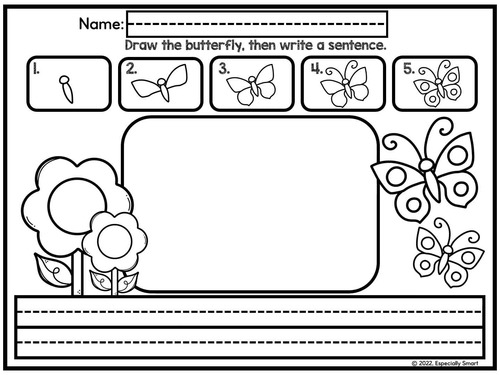 Spring Sentence Writing and Directed Drawing Differentiated No-Prep ...