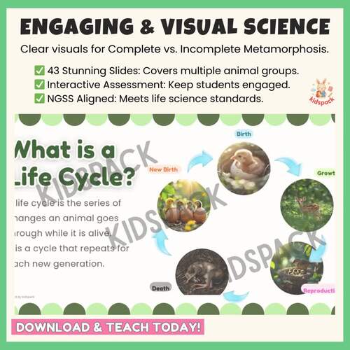 Animal Life Cycles Science Slides: Mammals, Frog & Butterfly Metamorphosis