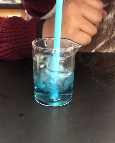 Cell Respiration and Exercise Experiment by Gambling With Science