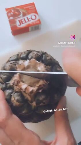 Enzyme Pineapple LAB (High School) by MsBioArtTeacher | TPT