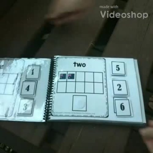 FLAGS OF THE WORLD COUNTING ADAPTED BOOK by Snicker-doodles Pre-k Market