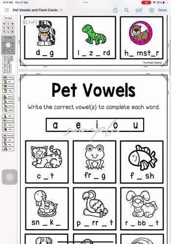 Fill in the Vowels - Pets Unit Phonics Activity Sheet for Kids w Pet ...