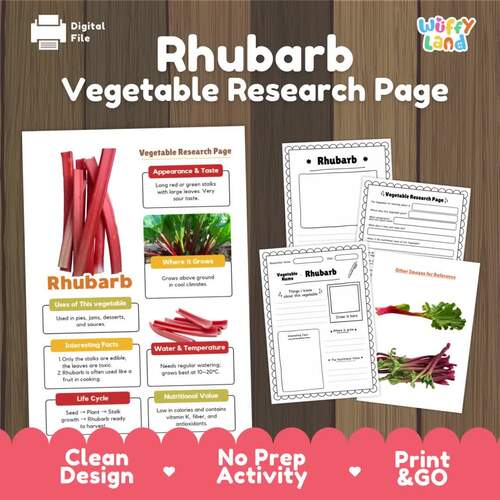 Rhubarb Vegetable Research: 4-Page Informational Text & Graphic ...