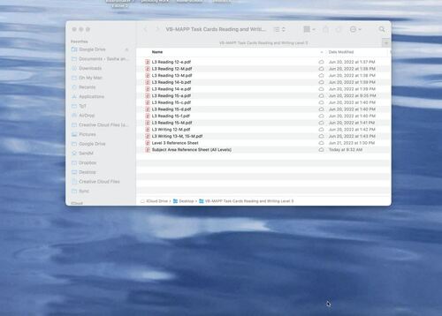 VB-MAPP Task Cards: Reading & Writing Level 3 by The Autism Helper