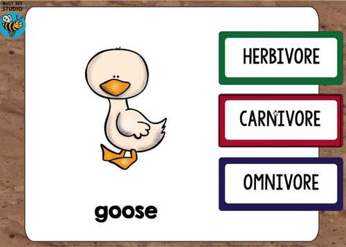 HERBIVORES CARNIVORES OMNIVORES ANIMAL CLASSIFICATION SORT SCIENCE BOOM ...