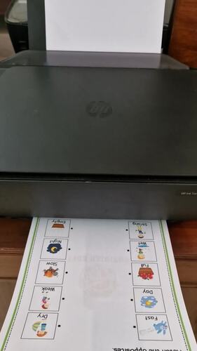 Opposites Worksheets for Grade 1 (11 Activities) by ObsidianSoft Education