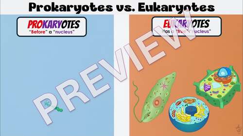 Animal and Plant Cell Organelles PowerPoint Slideshow | Eukaryotic Cells